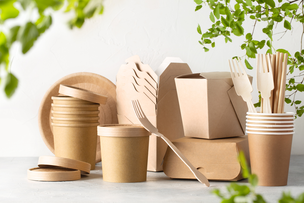 6 Eco-Friendly Food Packaging Types - Meyers